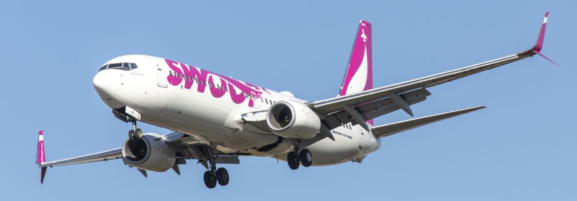 Swoop adds Kingston flight • Let's Travel Caribbean