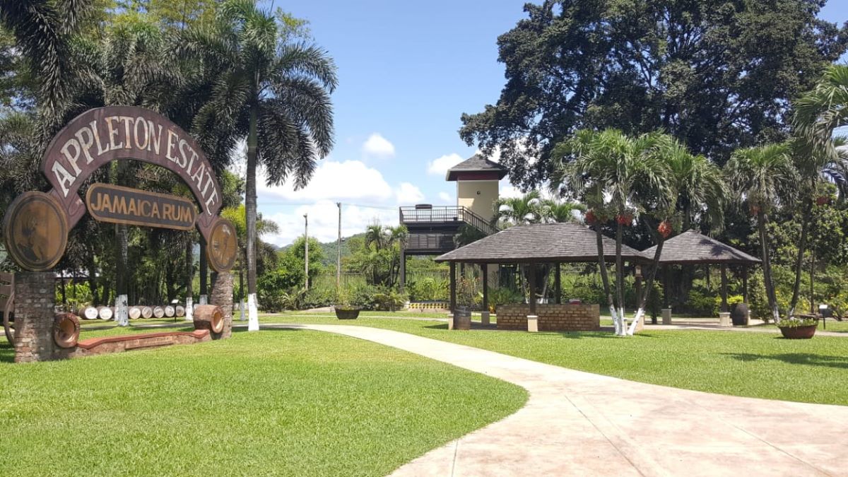 Appleton Estate nominated for Caribbean's 'best rum distillery' • Let's ...